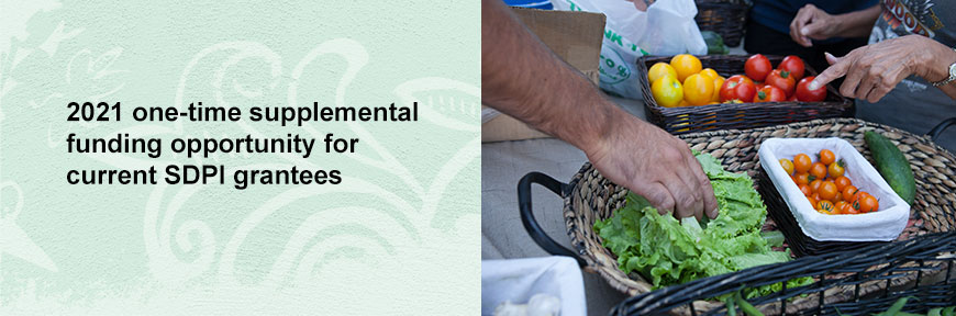 Special Diabetes Program for Indians (SDPI) | Indian Health Service (IHS)